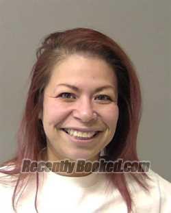 Recent Booking / Mugshot for BRIGITTE RAMIREZ in Macon County, Illinois