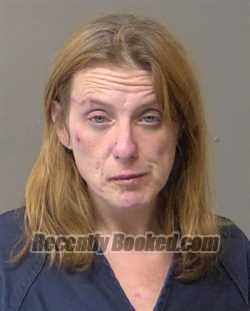Recent Booking / Mugshot for MINDY LEE TERRY in Macon County, Illinois