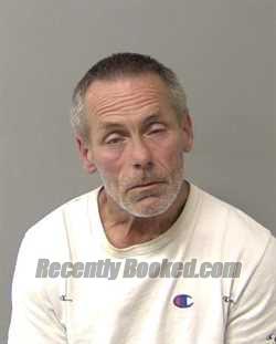 Recent Booking / Mugshot for TERRY LYNN HOLLGARTH in Macon County, Illinois