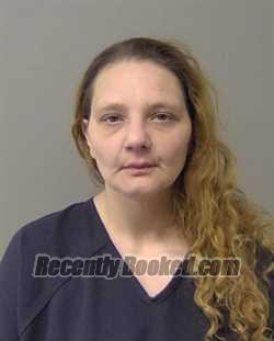 Recent Booking / Mugshot for TAMERA NICOLE INGRAM in Macon County, Illinois