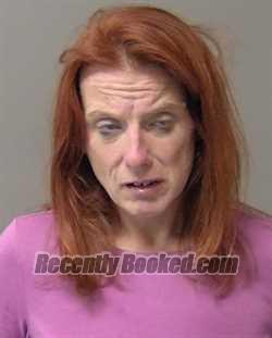 Recent Booking / Mugshot for MINDY LEE TERRY in Macon County, Illinois
