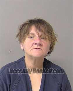 Recent Booking / Mugshot for STEPHANIE RANEE RUFFINI in Macon County ...