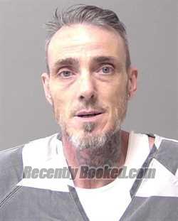 Recent Booking / Mugshot for RONALD DOUGLAS LEE in Macon County, Illinois