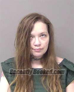 Recent Booking / Mugshot for ERIN MICHELLE MEARS in Macon County, Illinois