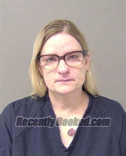 Recent Booking / Mugshot for AMBER MICHELLE OLSON in Macon County, Illinois