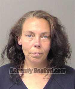 Recent Booking / Mugshot for CYNTHIAJO ANN HINKLE in Macon County, Illinois