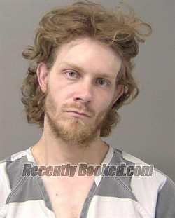 Recent Booking / Mugshot for SKYLER JAMES WEBB in Macon County, Illinois