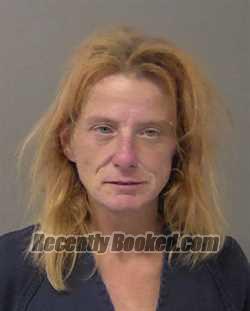MINDY LEE TERRY Arrest Record & Booking Info – Macon County, Illinois ...