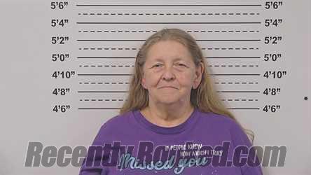 Recent Booking / Mugshot for ELAINE ROBSON in Macoupin County, Illinois