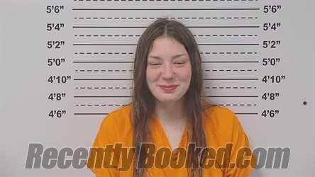 Recent Booking / Mugshot for MACKENZIE CUNNINGHAM in Macoupin County ...