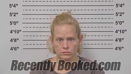 Recent Booking / Mugshot for SARAH SELLERS in Macoupin County, Illinois