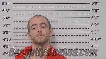 Recent Booking / Mugshot for DAVID OREAR in Macoupin County, Illinois