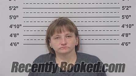 Recent Booking / Mugshot for KELSEY MCKINNEY in Macoupin County, Illinois