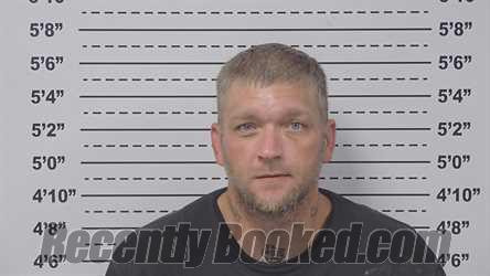 Recent Booking / Mugshot for TERRY SWAN in Macoupin County, Illinois