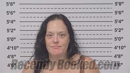 Recent Booking / Mugshot for LAURA BRITTON in Macoupin County, Illinois