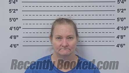 Recent Booking / Mugshot for MENA MORRIS in Macoupin County, Illinois