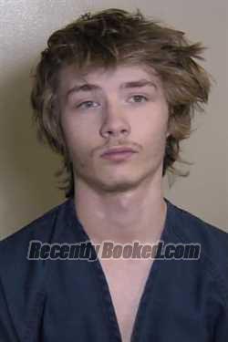 BRENDAN LANDRE Arrest Record & Booking Info – Madison County, Illinois ...