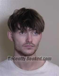 Recent Booking / Mugshot for DOUGLAS WOCK in Madison County, Illinois