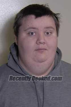 Recent Booking / Mugshot for JARED HENKE in Madison County, Illinois