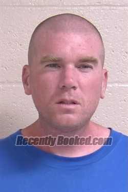 Recent Booking / Mugshot for TIMOTHY MCLEAN in Madison County, Illinois