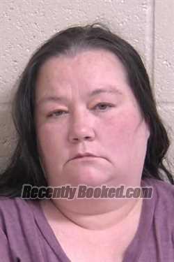 Recent Booking / Mugshot for STEPHANIE EBNER in Madison County, Illinois