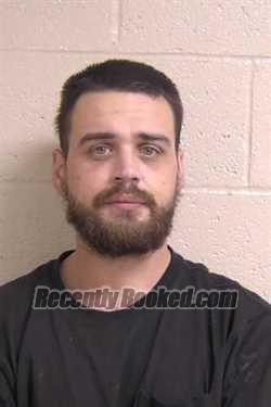 Recent Booking / Mugshot for NICHOLAS RAYMER in Madison County, Illinois
