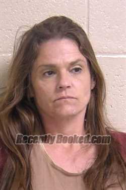 Recent Booking / Mugshot for MELISSA HARRELL in Madison County, Illinois