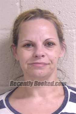 Recent Booking / Mugshot for DANIELLE DICKMAN in Madison County, Illinois
