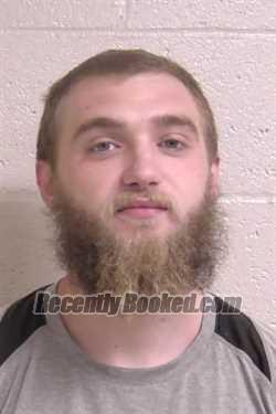 Recent Booking / Mugshot for TYLER LANE in Madison County, Illinois