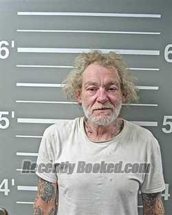 Recent Booking / Mugshot for RONALD D SAMSON in Montgomery County, Illinois