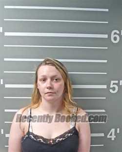 Recent Booking / Mugshot for JENNIFER M JETT in Montgomery County, Illinois