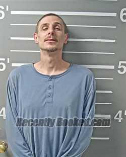 Recent Booking / Mugshot for JERRY J WATSON in Montgomery County, Illinois