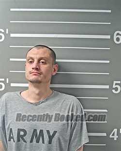 Recent Booking / Mugshot for DAVID P COOK in Montgomery County, Illinois