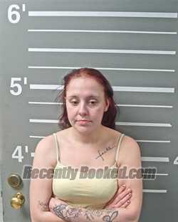 Recent Booking / Mugshot for SAVANNAH M LONG in Montgomery County, Illinois