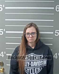 Recent Booking / Mugshot for AMBER D HANDEGAN in Montgomery County ...