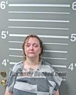 Recent Booking / Mugshot for TINA L BERTRAND in Montgomery County, Illinois