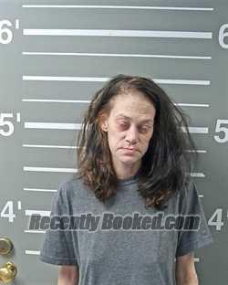 HEIDI K MCARTHUR Arrest Record & Booking Info – Montgomery County ...