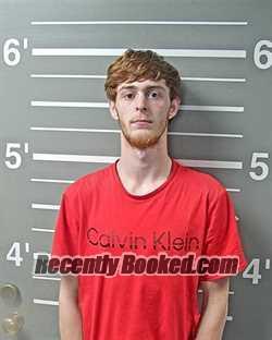 Recent Booking / Mugshot for LOGAN TODD LARGE in Montgomery County ...