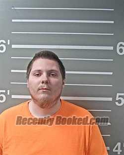 Recent Booking / Mugshot for BRIAN L SMITH in Montgomery County, Illinois