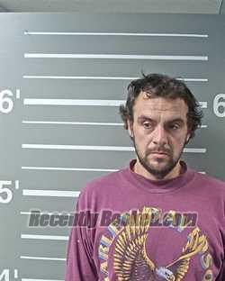 Recent Booking / Mugshot for TIMOTHY D BRUHN in Montgomery County, Illinois