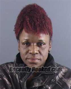 Recent Booking / Mugshot for ALEXIS A SALLY in Peoria County, Illinois