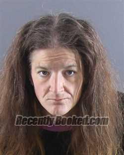 Recent Booking / Mugshot for AMANDA L RAY in Peoria County, Illinois