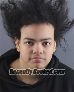 Recent Booking / Mugshot for JILLIAN MARIAH PAYNE in Peoria County ...