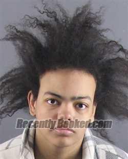 Recent Booking / Mugshot for JILLIAN MARIAH PAYNE in Peoria County ...