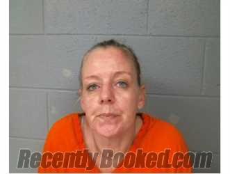 Recent Booking / Mugshot for Ashlea Anheuser in Perry County, Illinois