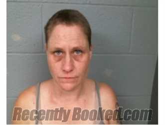 Recent Booking / Mugshot for Brandi Anderson in Perry County, Illinois