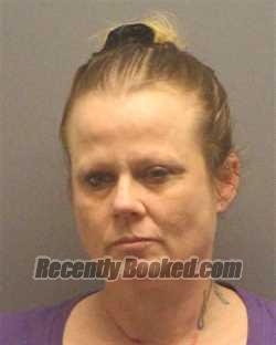 Recent Booking / Mugshot for MELISSA SUE FELDMANN in Guilford County ...