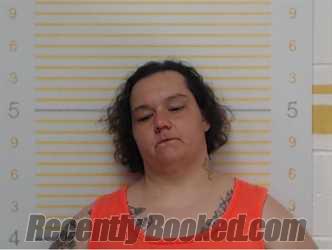 Recent Booking / Mugshot for Tracey Anderson in Randolph County, Illinois