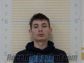 Recent Booking / Mugshot for Raymond Reese in Randolph County, Illinois