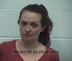 Recent Booking / Mugshot for TRACI A EARP in Richland County, Illinois